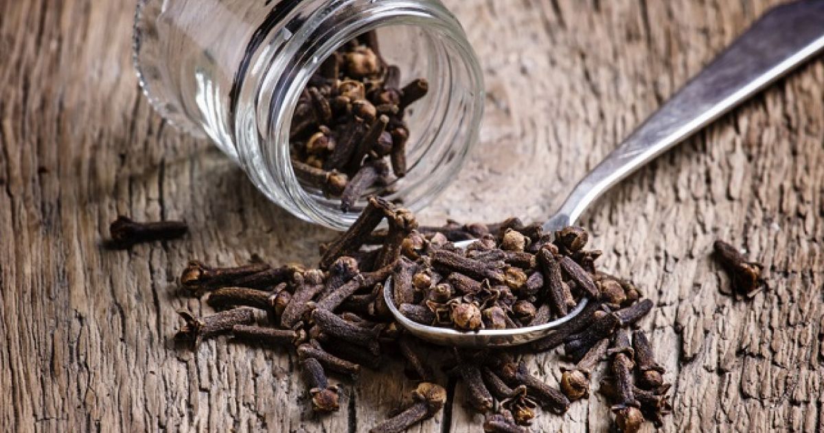 Το γαρίφαλο και οι θεραπευτικές του ιδιότητες